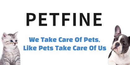 펫파인 PETFINEㅣ항공특송 반려동물 의약품사이트ㅣ국내 최저가 구매대행ㅣ아포퀠직구,하트가드직구,넥스가드직구,프론트라인직구 ...